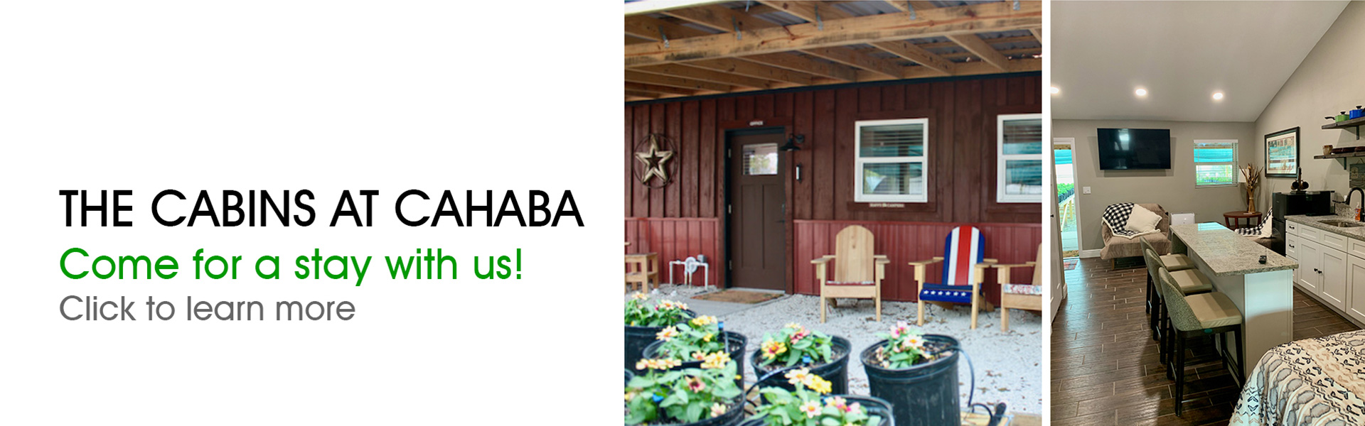 Cahaba Clubs Herbal Outpost - Microgreens & Edible Flowers - Cahaba ...